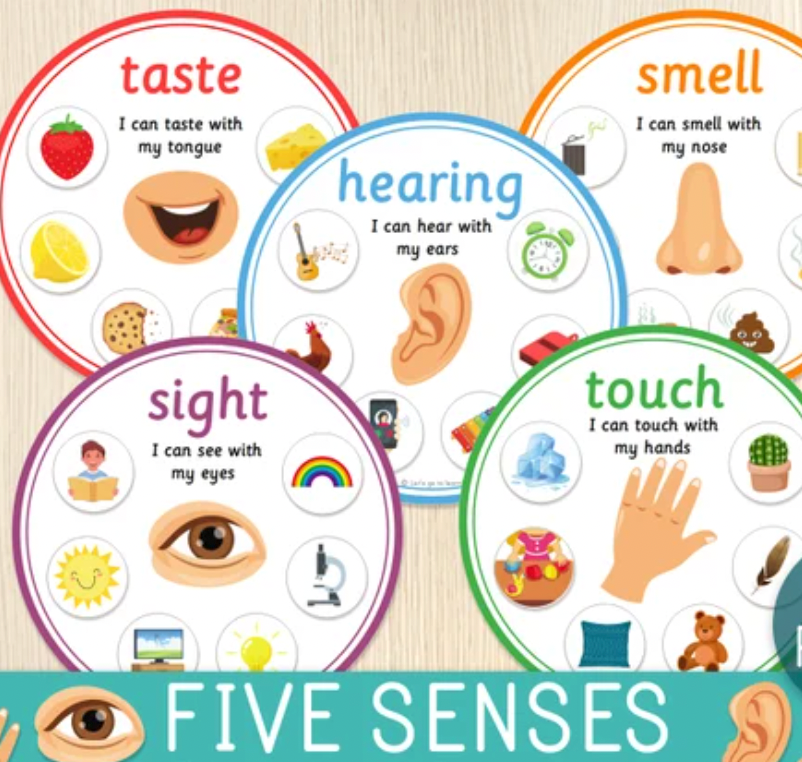 Exploring the five senses – HomeLearners Network