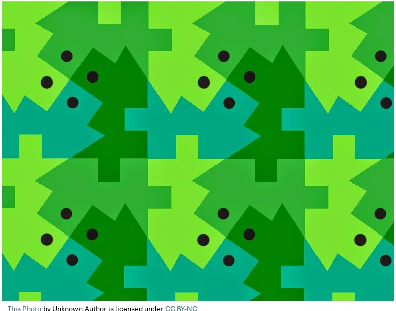 Tessellation Transformation Adventure – HomeLearners Network