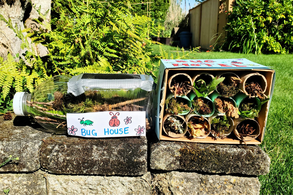 Build a Bug House – HomeLearners Network