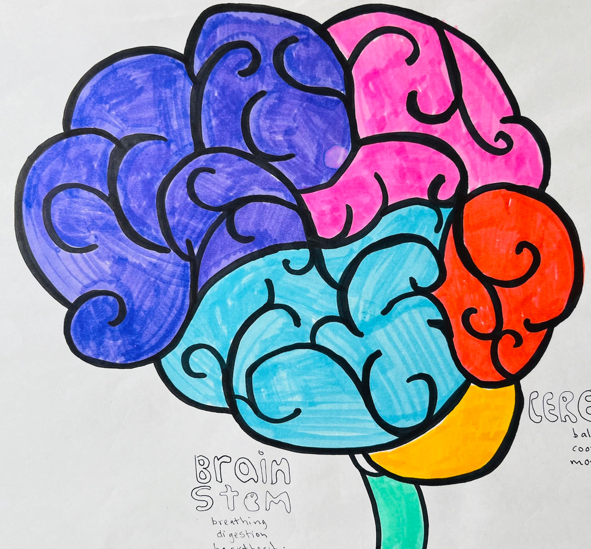 Your Brain on Art – HomeLearners Network