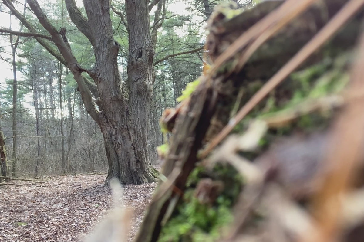 Geocaching Club – HomeLearners Network