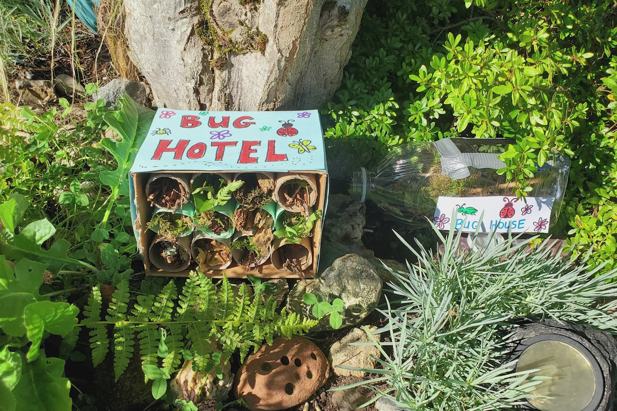 Build a Bug House – HomeLearners Network