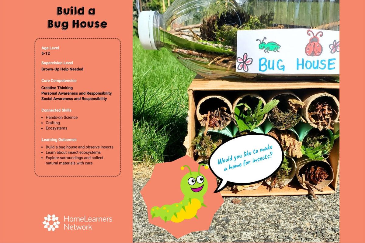Build a Bug House – HomeLearners Network